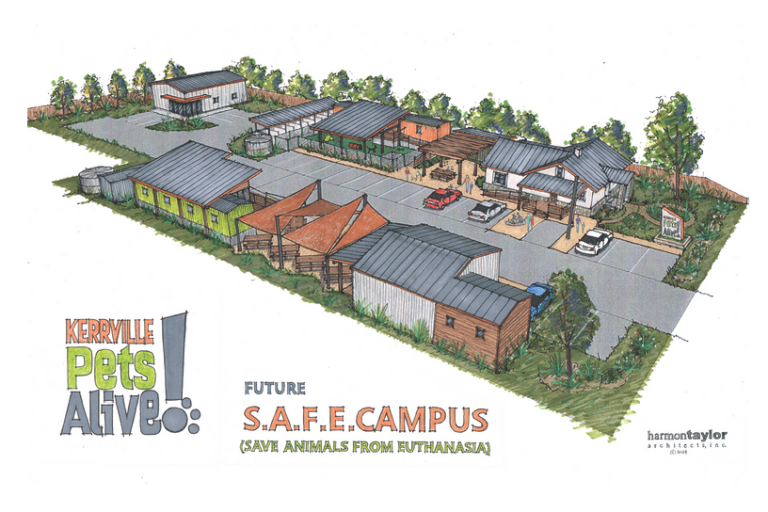 Safe Campus | Kerrville Pets Alive
